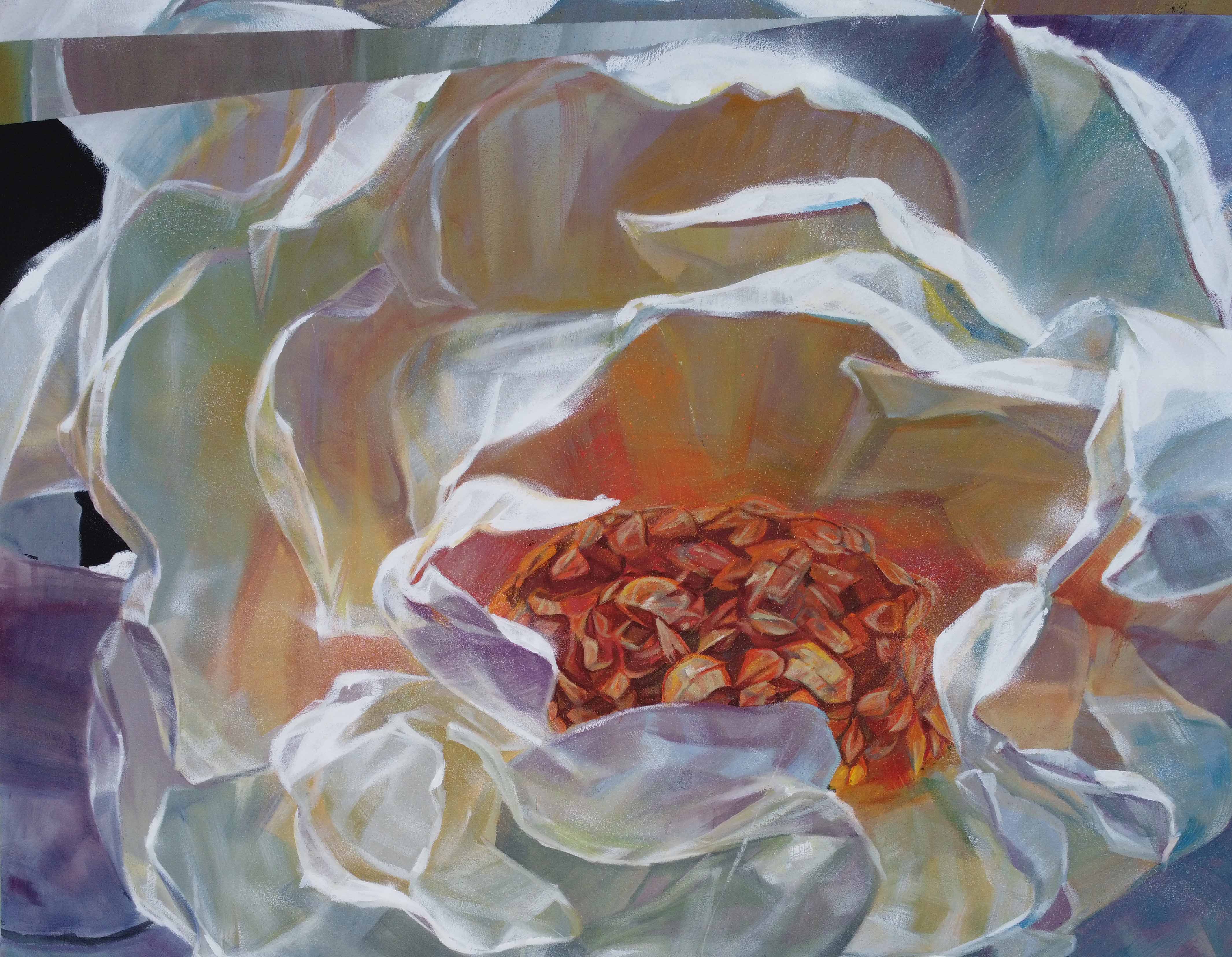 opal_drewyoung_amblesidebia3 | Drew Young | Artist and Curator | Vancouver Canada